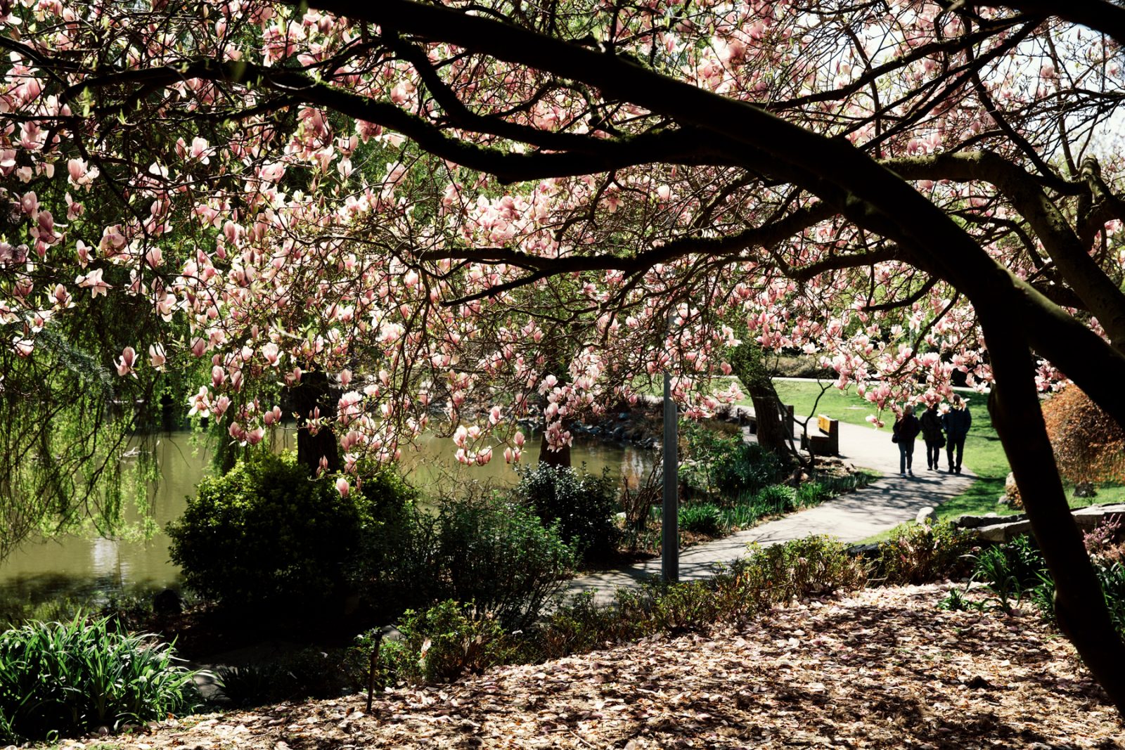 Spring in Richmond | Tourism Richmond, BC