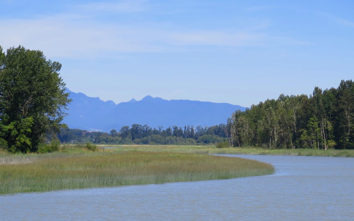 Explore the Fraser River on a Unique Boat Cruise | Tourism Richmond, BC