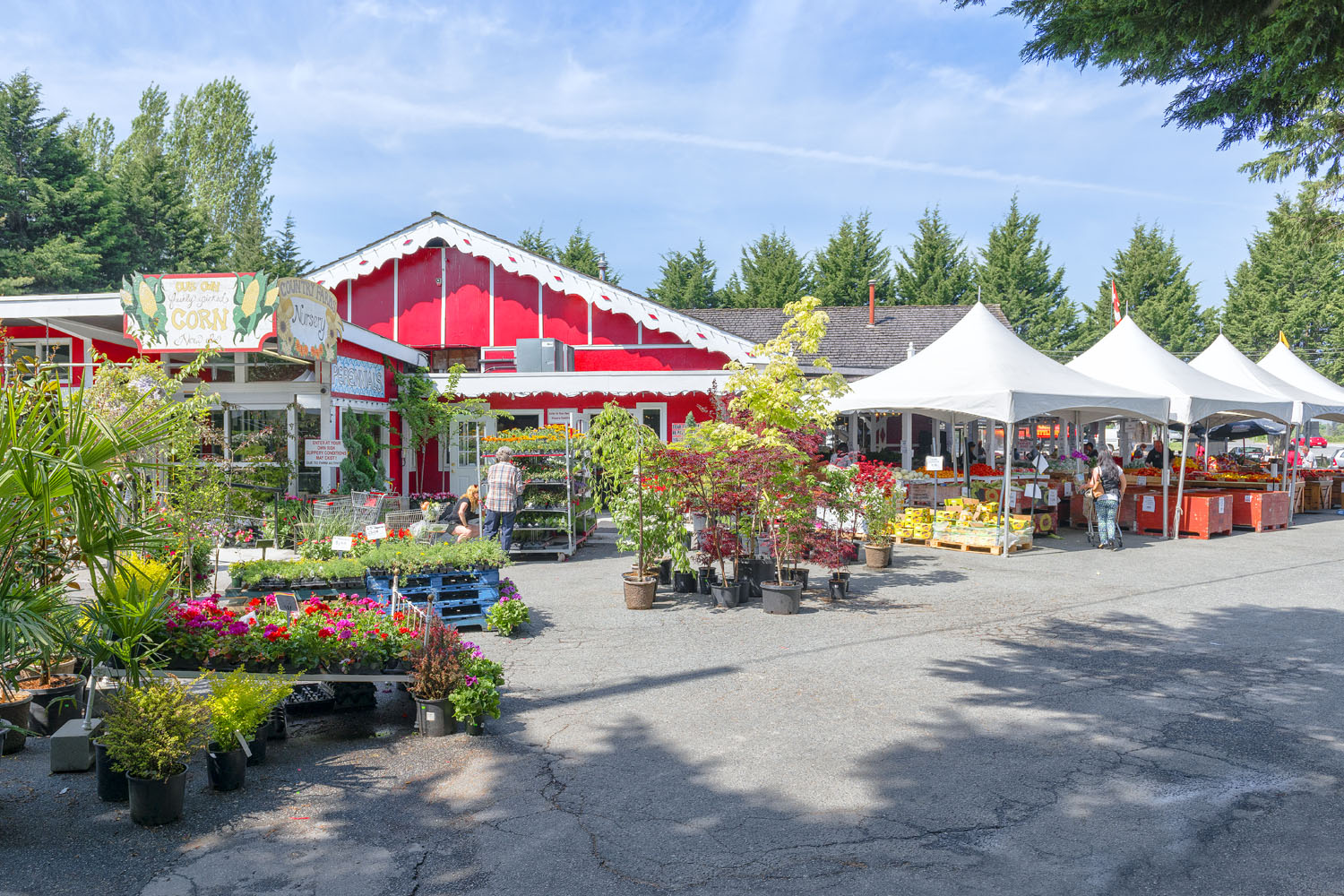 Richmond is Ready for Farmers' Markets