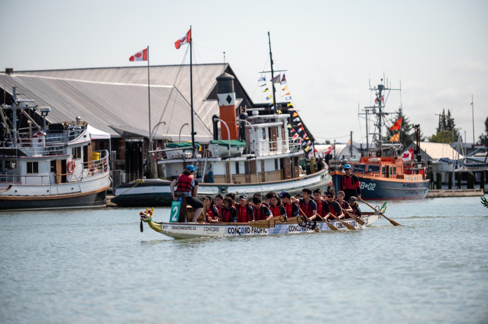Richmond Dragon Boat Festival: The Insider’s Guide | Tourism Richmond, BC