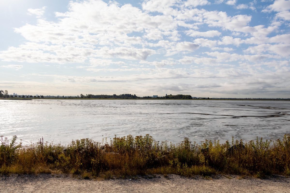 Celebrate Indigenous Culture at the Musqueam Canoe Races | Tourism ...