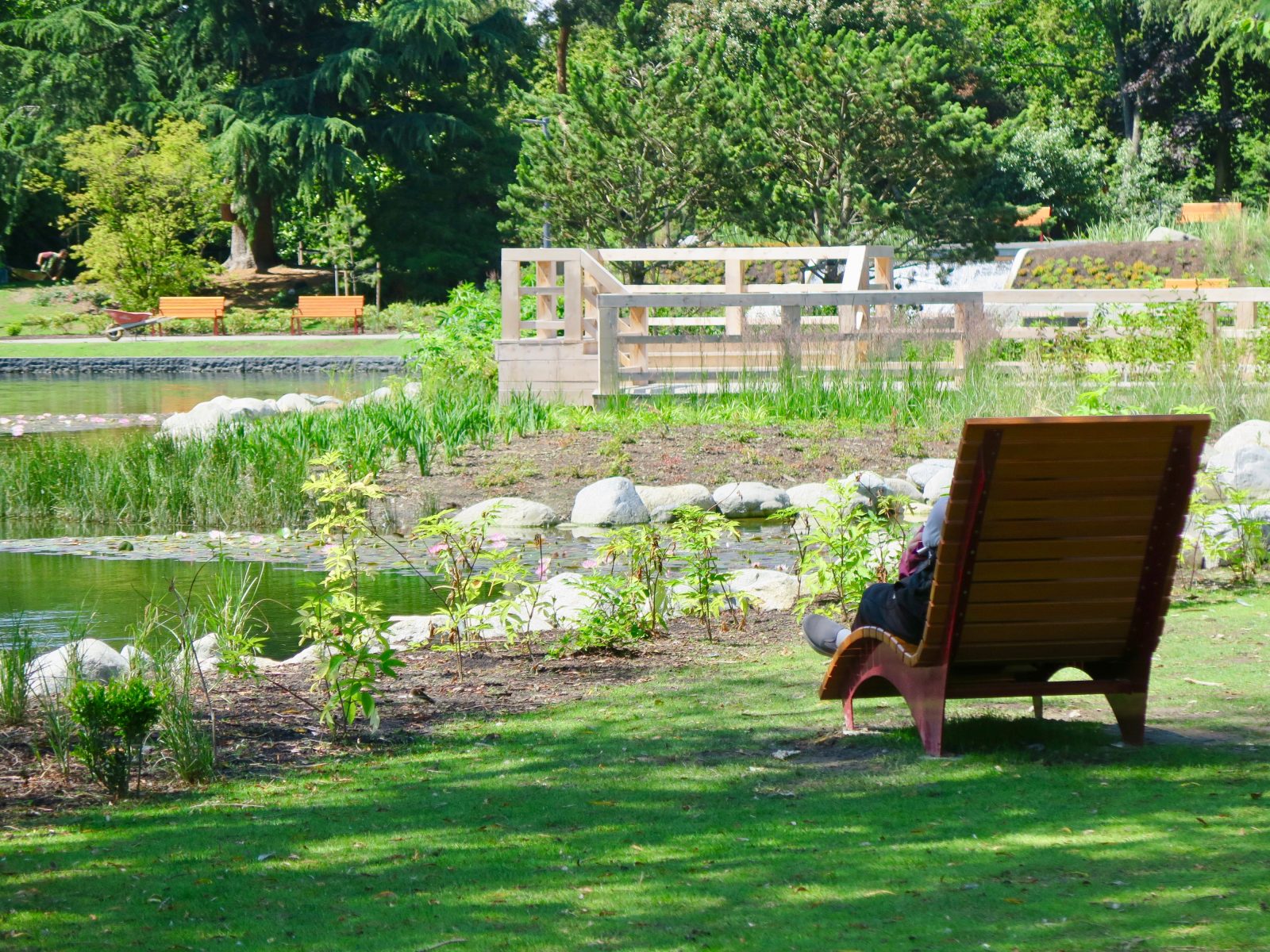 Richmond's City Centre Oasis Minoru Lakes Returns