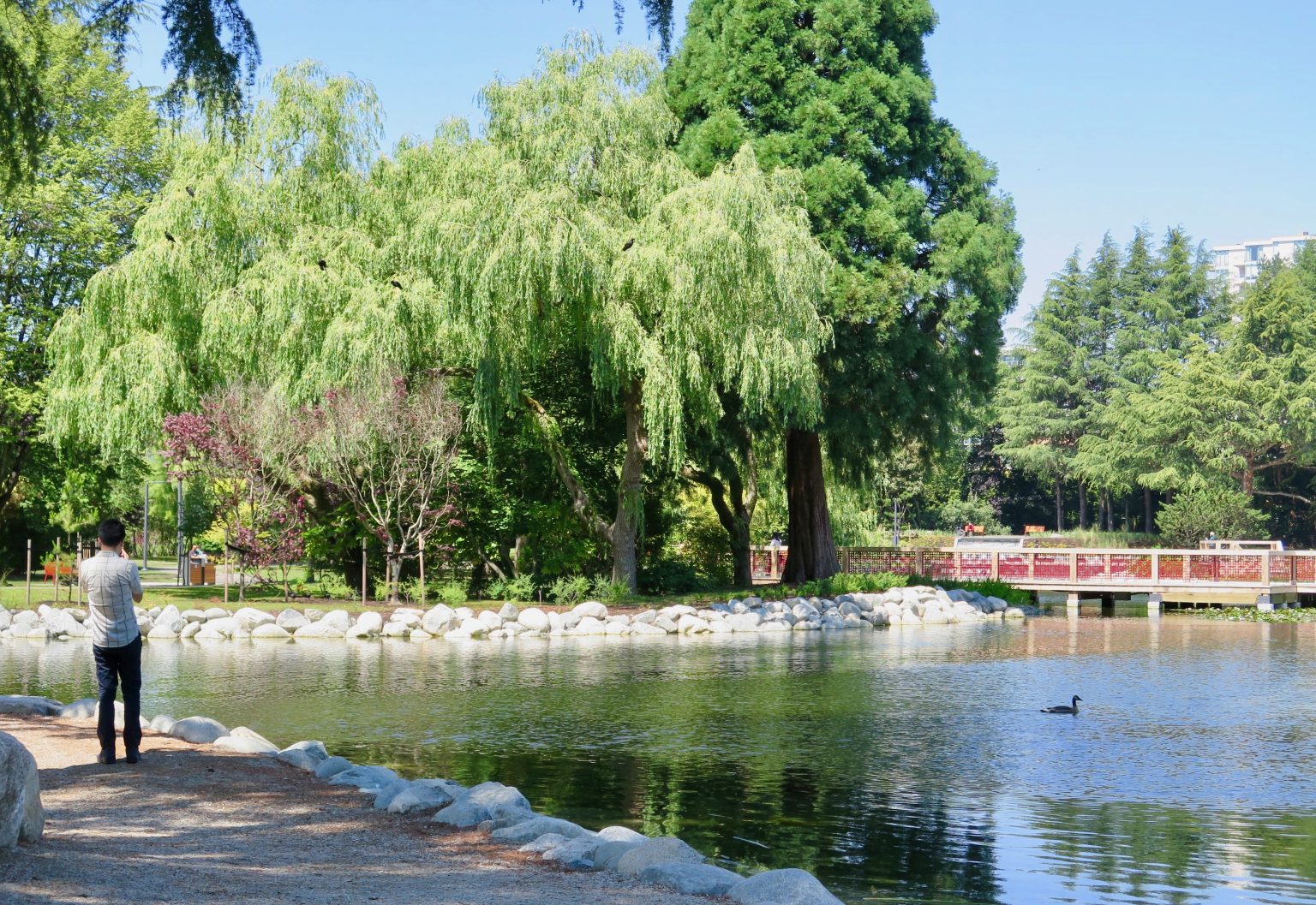 Richmond's City Centre Oasis Minoru Lakes Returns